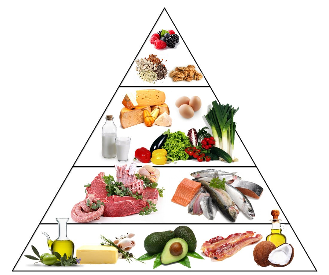 DIETA LOW CARB PARA INICIANTES Homens Que Se Cuidam DIETA LOW CARB PARA INICIANTES Homens Que Se Cuidam